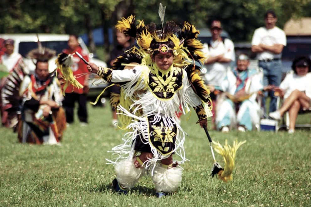 Understanding the PowWow: A Celebration of Indigenous Culture – Natives ...